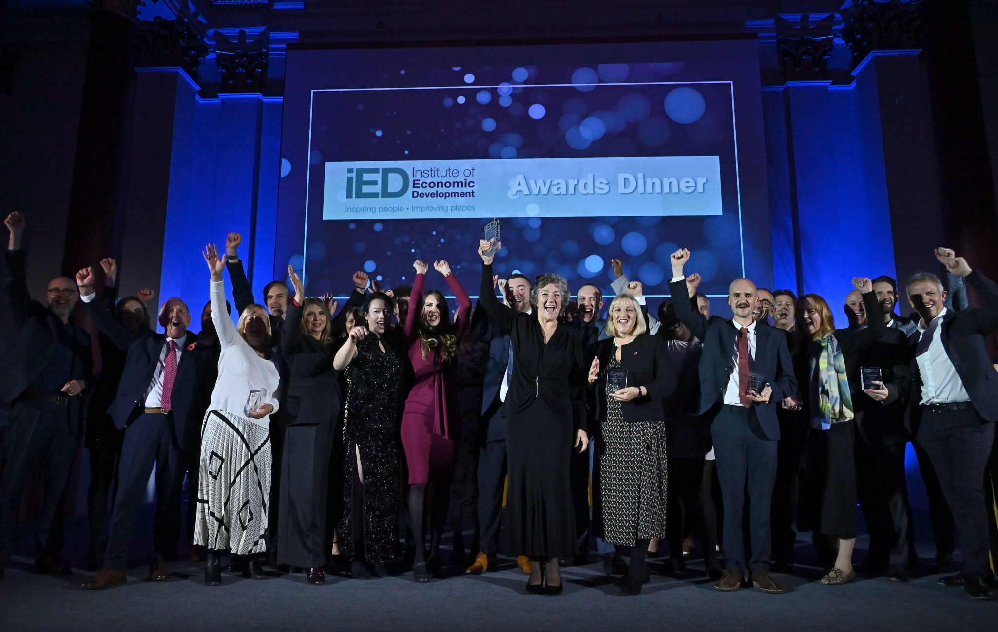 IED Annual Awards 2024 winners are revealed - Institute of Economic Development